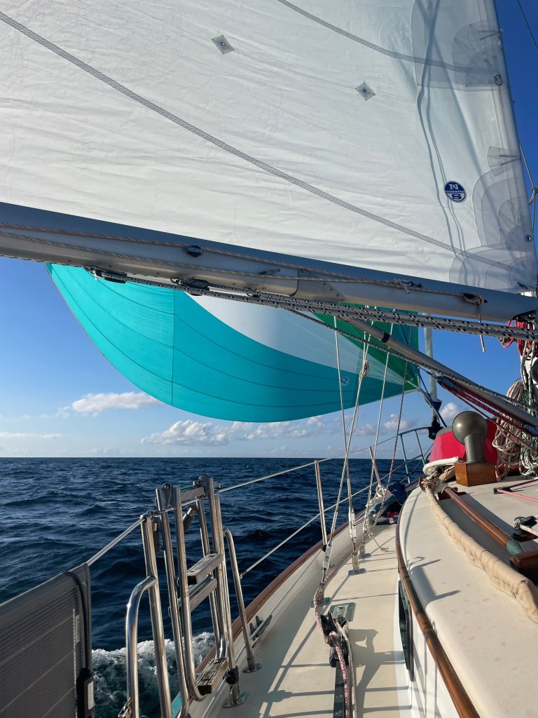 The Boat – Eagle Seven Sailing